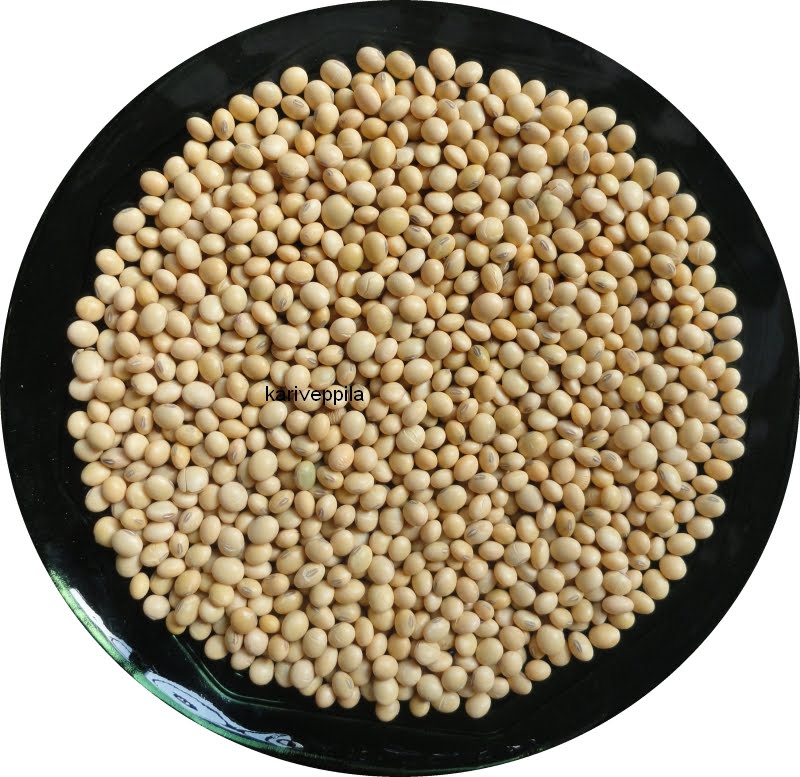 Kariveppila കറിവേപ്പില: സോയാബീൻ മസാലക്കറി
