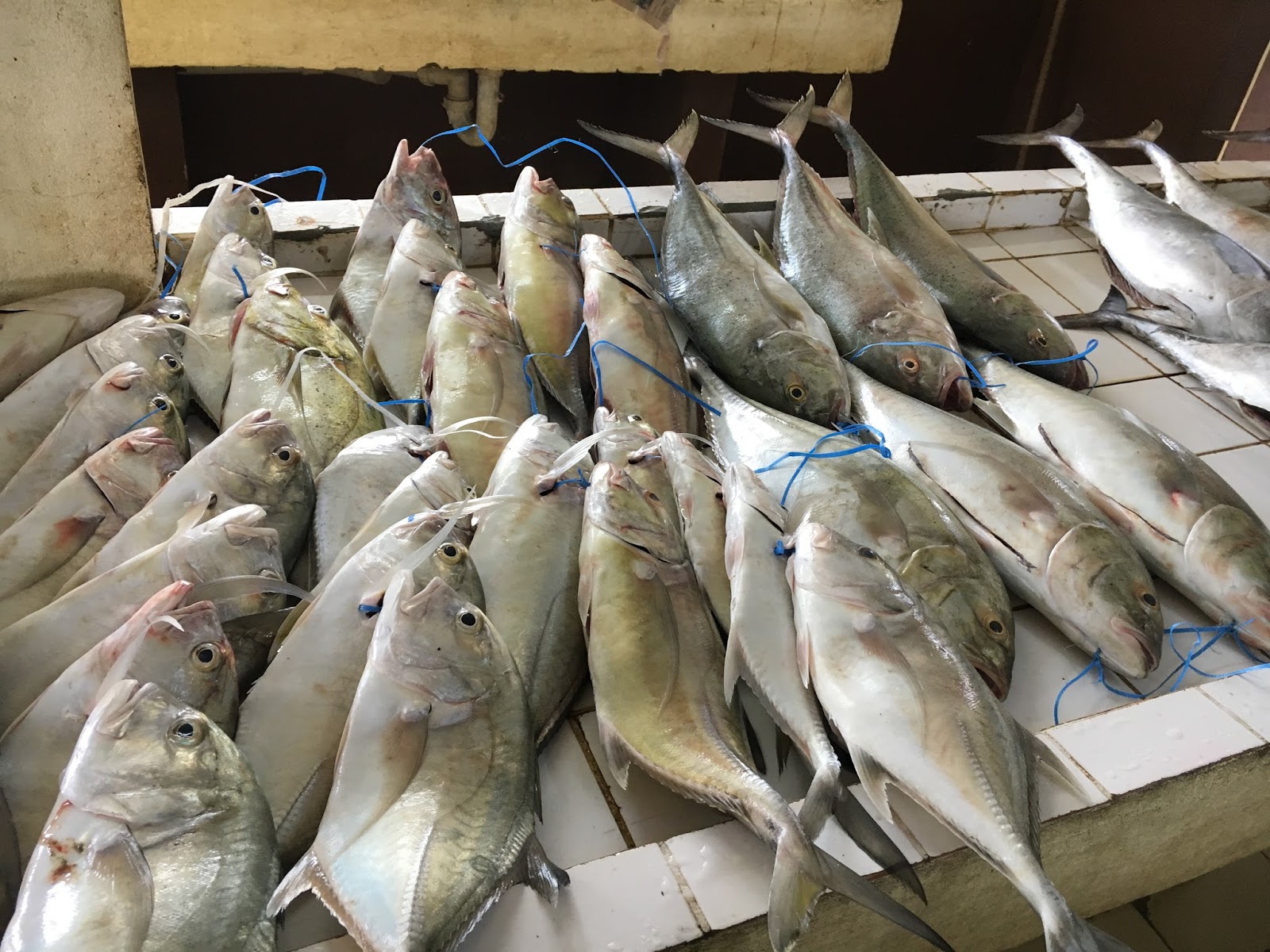 Namaka Market - Nadi, Fiji - Travel is my favorite Sport