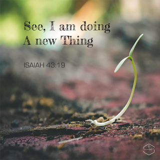 I-utibe: A new Thing