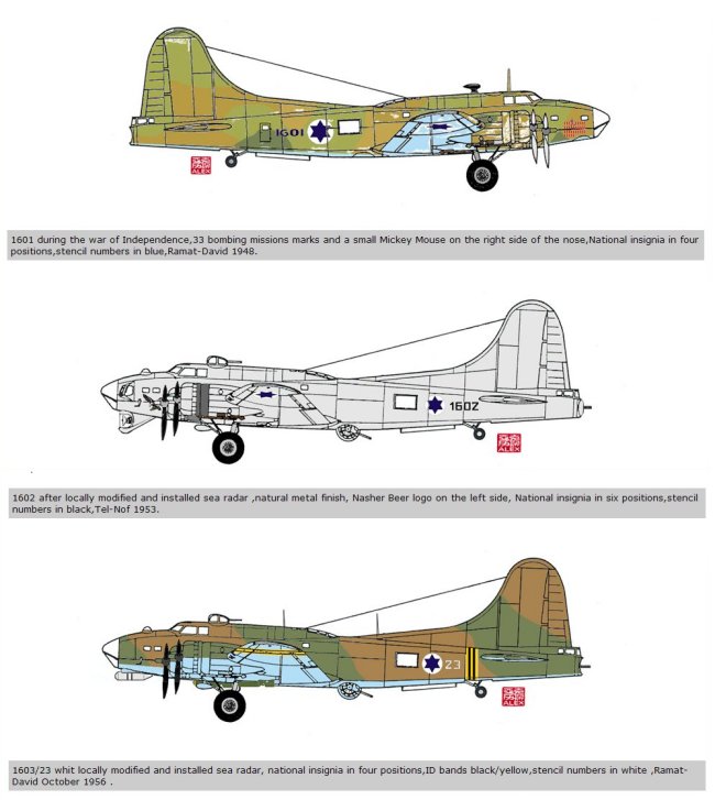 Tails Through Time: The Last Operational B-17 Flying Fortresses