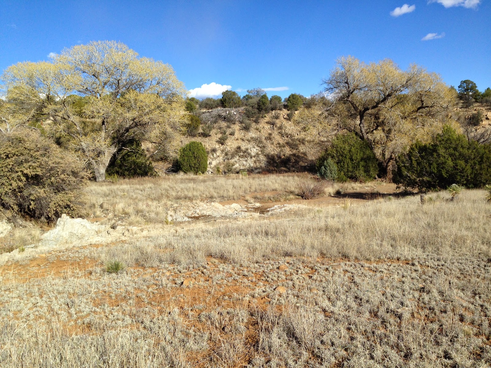 Southern New Mexico Explorer: Old Highway 260( FT 260) , Ft. Bayard ...