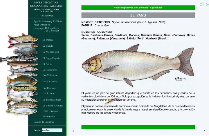 Espacio de Pesca: Fichas Especies Peces Deportivos de Colombia de Agua ...