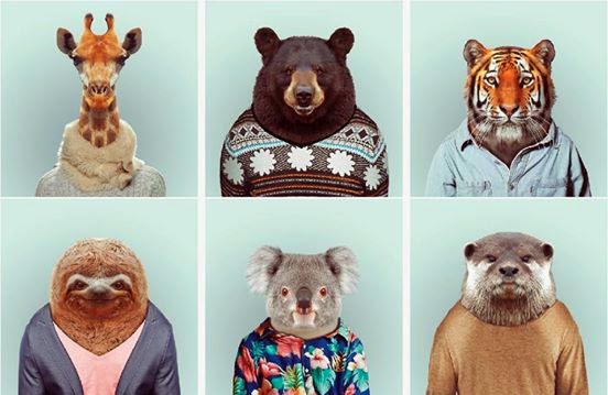 ZOO PORTRAITS de Yago Partal | Un blog on tot hi Pat