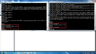 Remote Infrastructure Management: Managing NetApp Cluster with NetApp OnCommand System Manager
