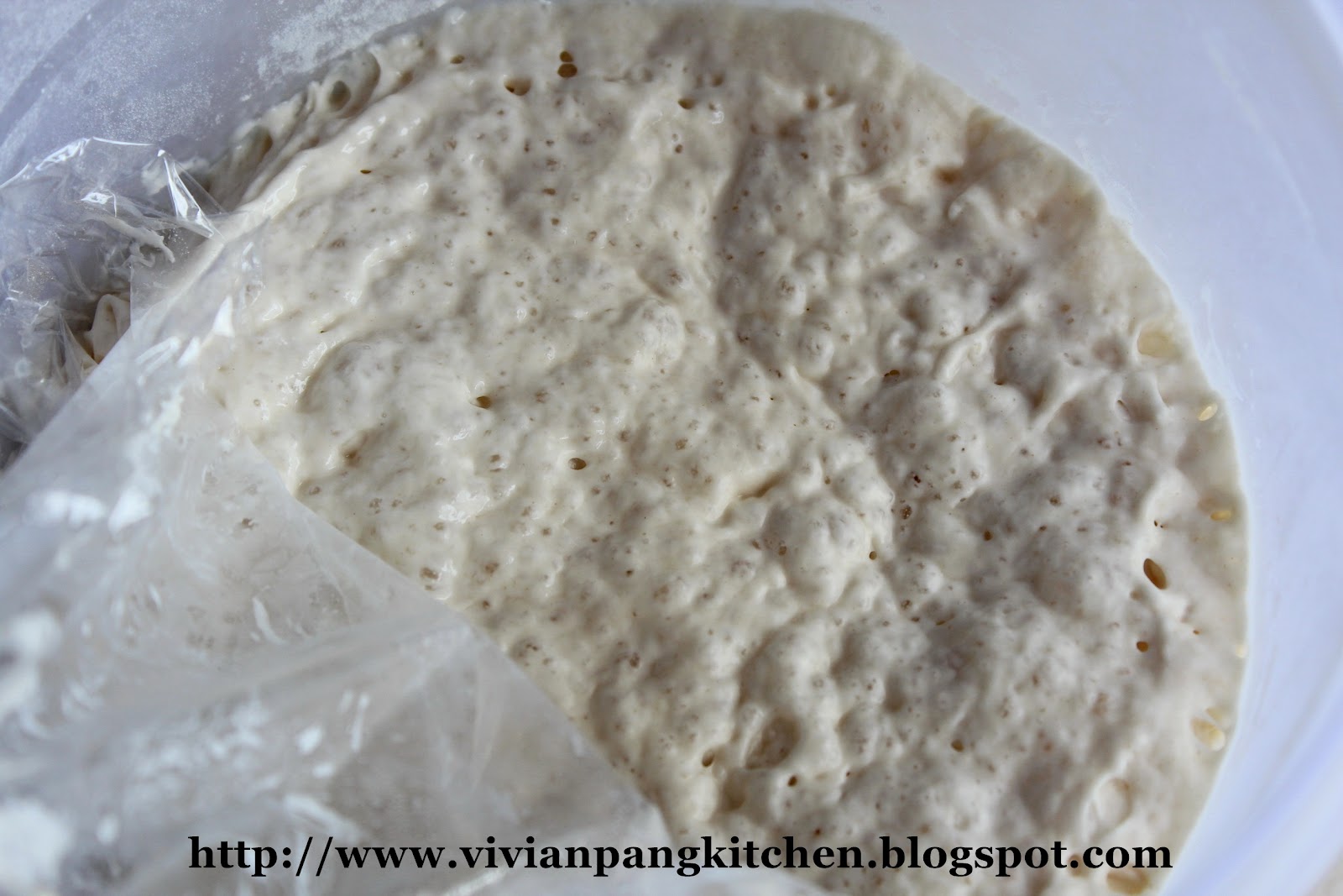 Vivian Pang Kitchen: Cream Cheese Buns/ 17hrs Pre-fermented Sponge Dough