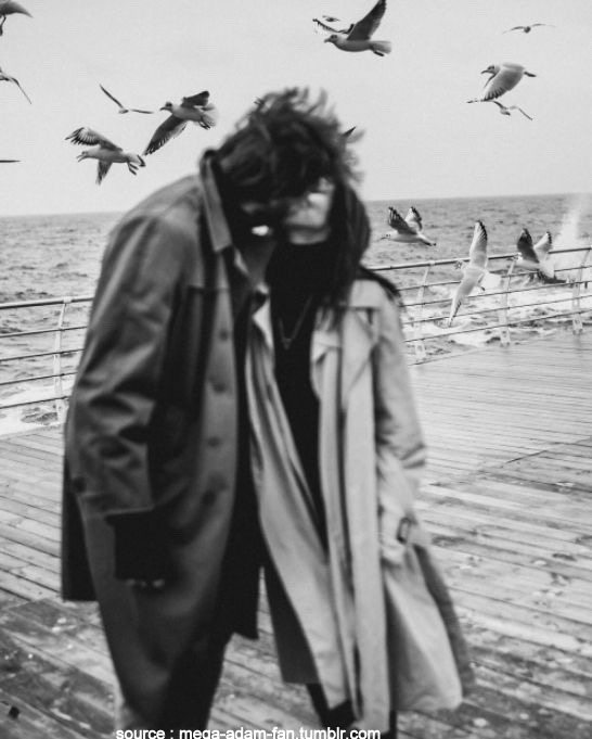 ARAGON et ELSA, SA MUSE