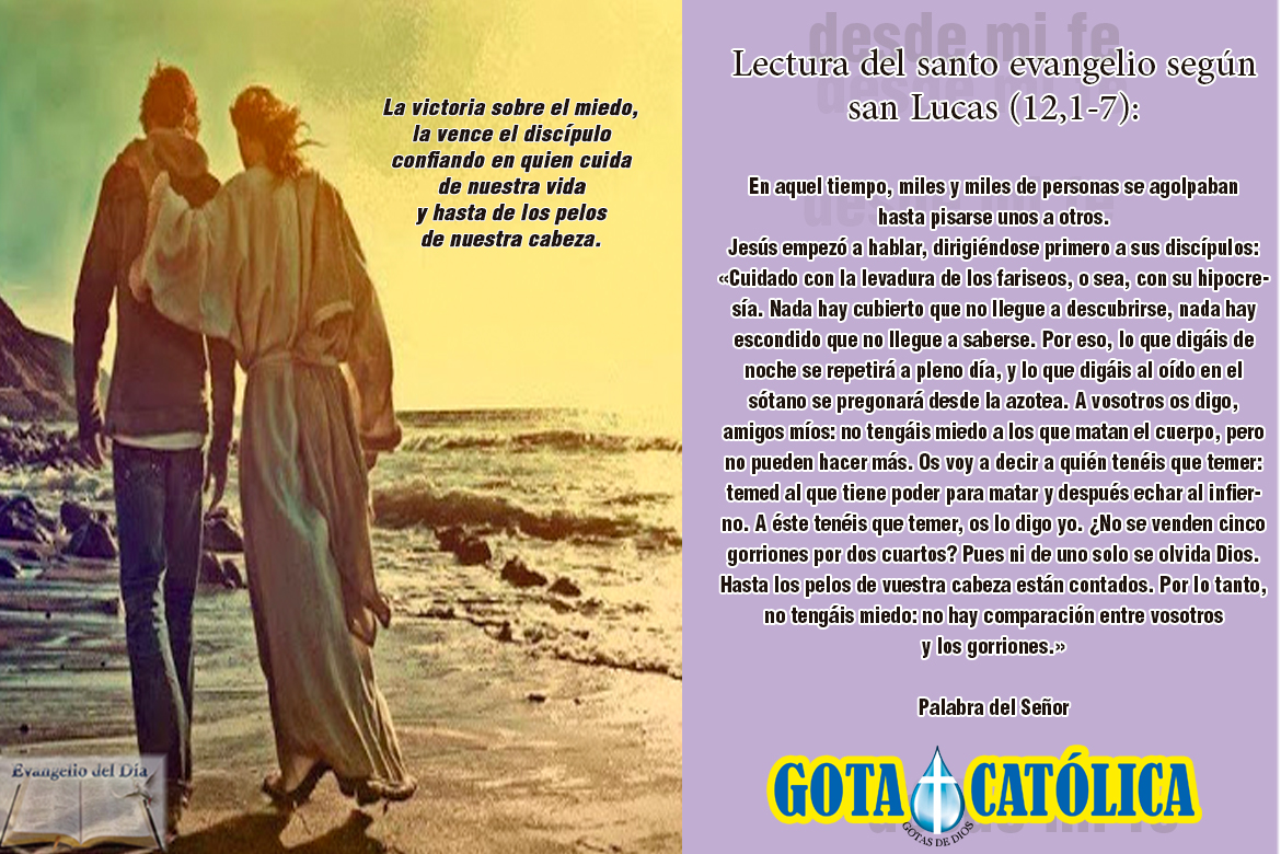 GOTA Católica-Gotas de Dios: Evangelio de hoy 20 de octubre del 2017 ...