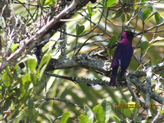 Africa: My DNA: KAPISHA HOT SPRING