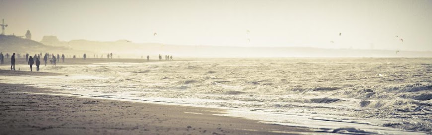 Mwanza Urban Water and Sewerage Authority: MWAUWASA CONTACTS