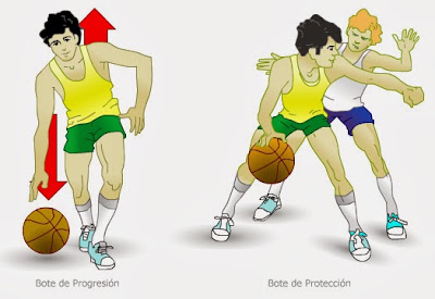 Educación Física en la Red: Cómo botar y tipos de pase en el baloncesto
