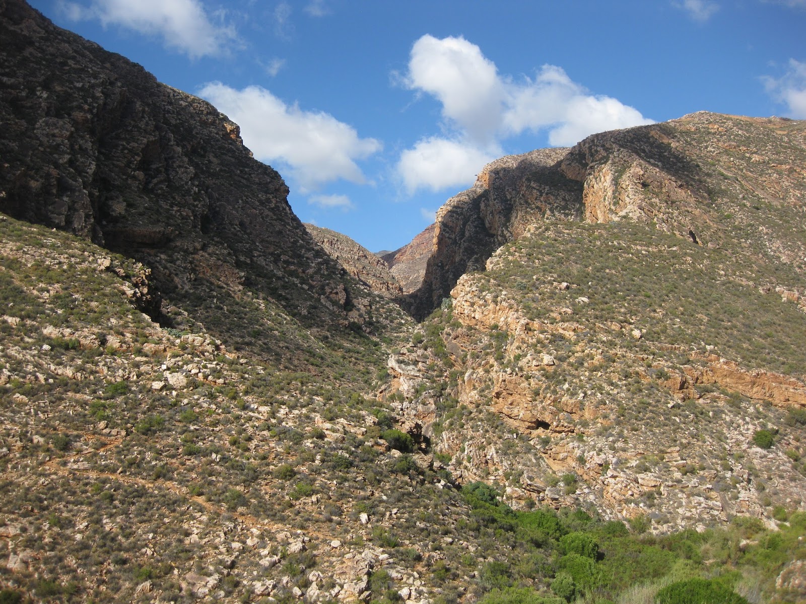 Swartbergpas/Struisvogelboerderij