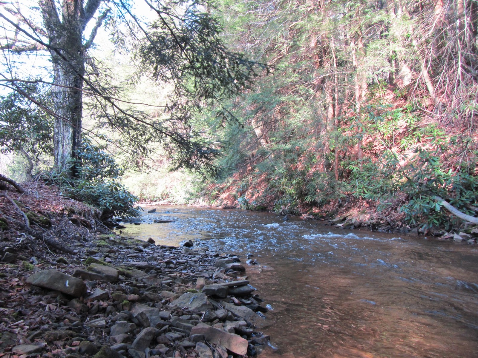 Western Maryland Fly Fishing: Brookies on The Upper Savage River ...