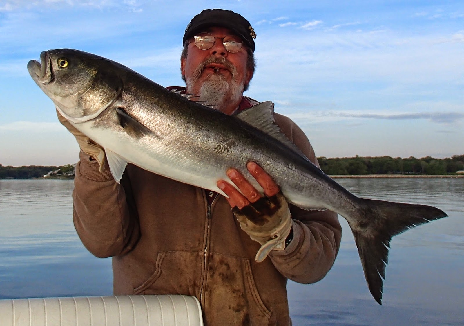 no fluke fishing: Favorite ways to catch and release striped bass