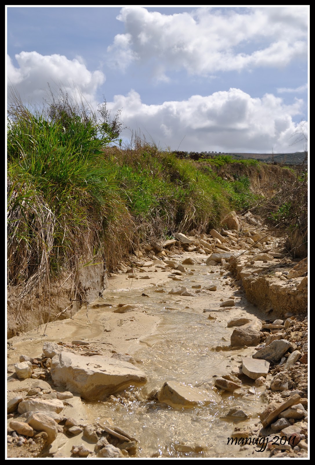 Fotografía Digital: Arroyos en Primavera