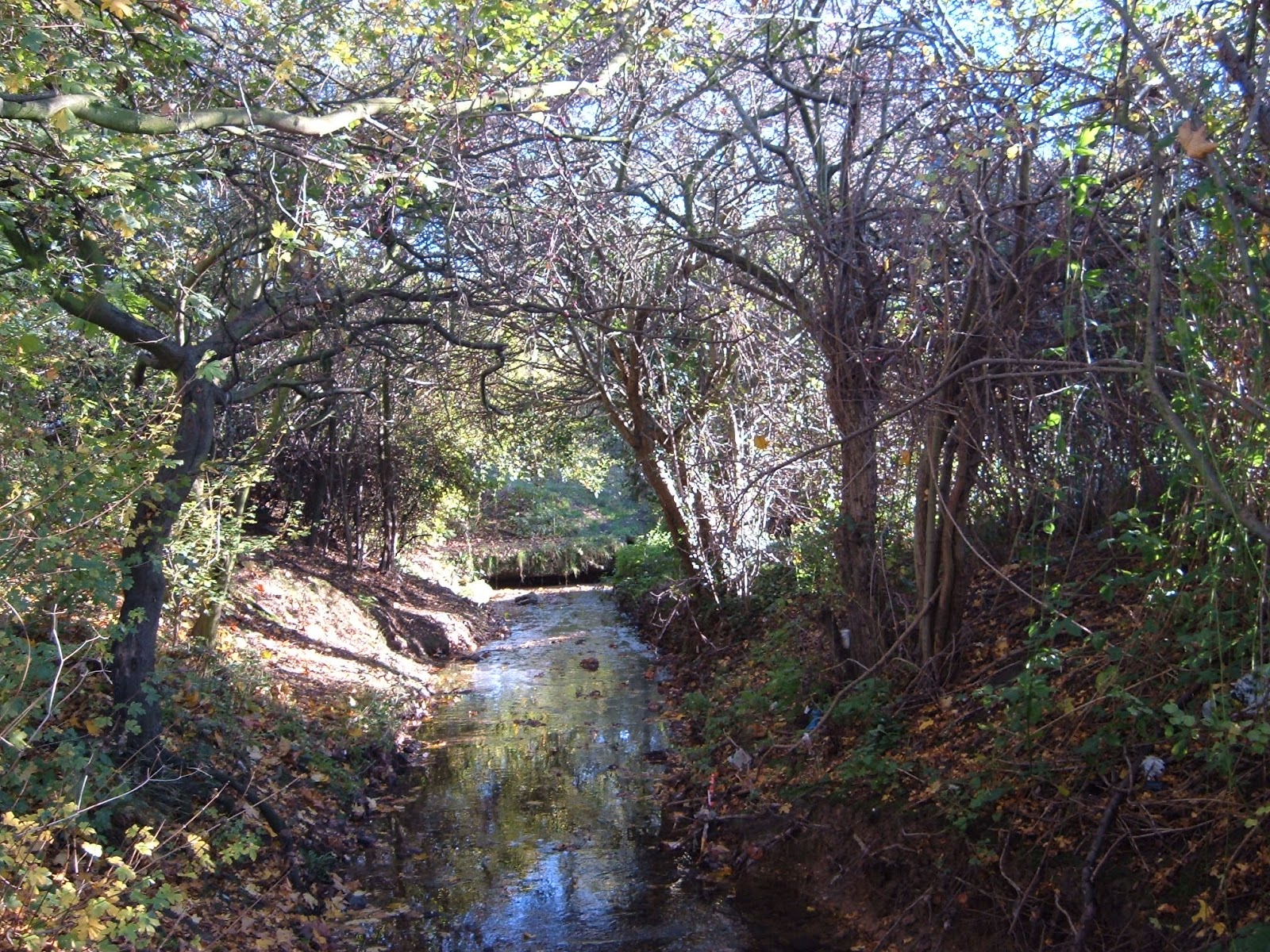 Photograph: Paines Brook as it runs thorugh Central Park, Harold Hill ...
