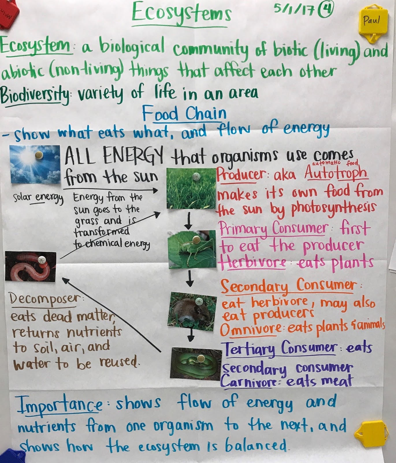 Mrs. Paul - Biology: Biology 2016-2017 Charts/Notes