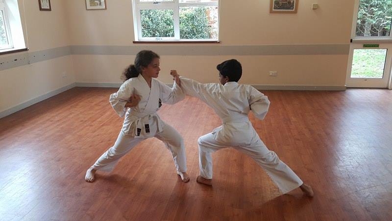 Langley Taisei Karate Academy: Learn about Kihon, the fundamental ...