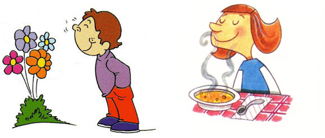 MAQUILO'S BLOG: LENGUAJE, LENGUA Y HABLA