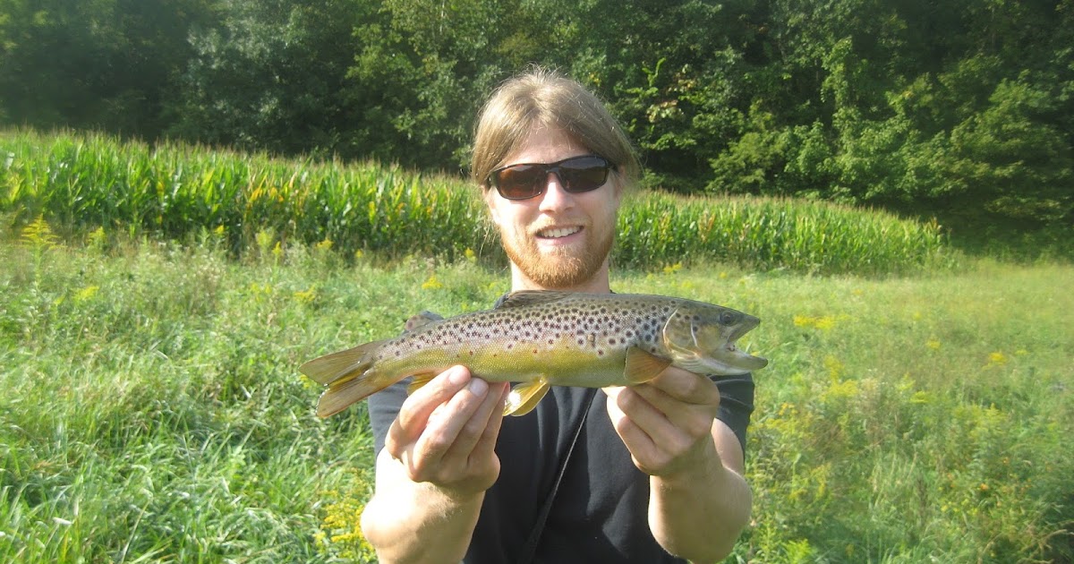 Minnesota Driftless Fly Fishing: Trip Report: Lost Fly Blues