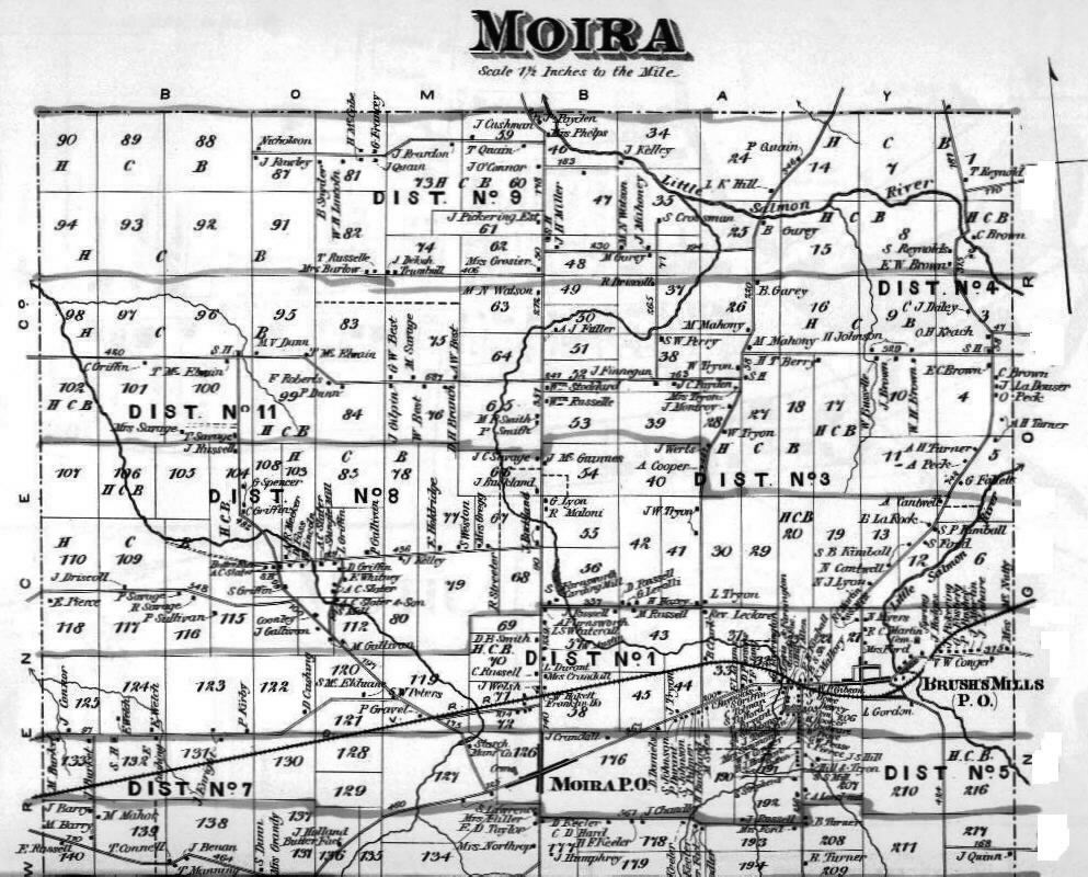 Samuel Griffin Genealogy Blog: Map of Moira 1876 note the number of ...