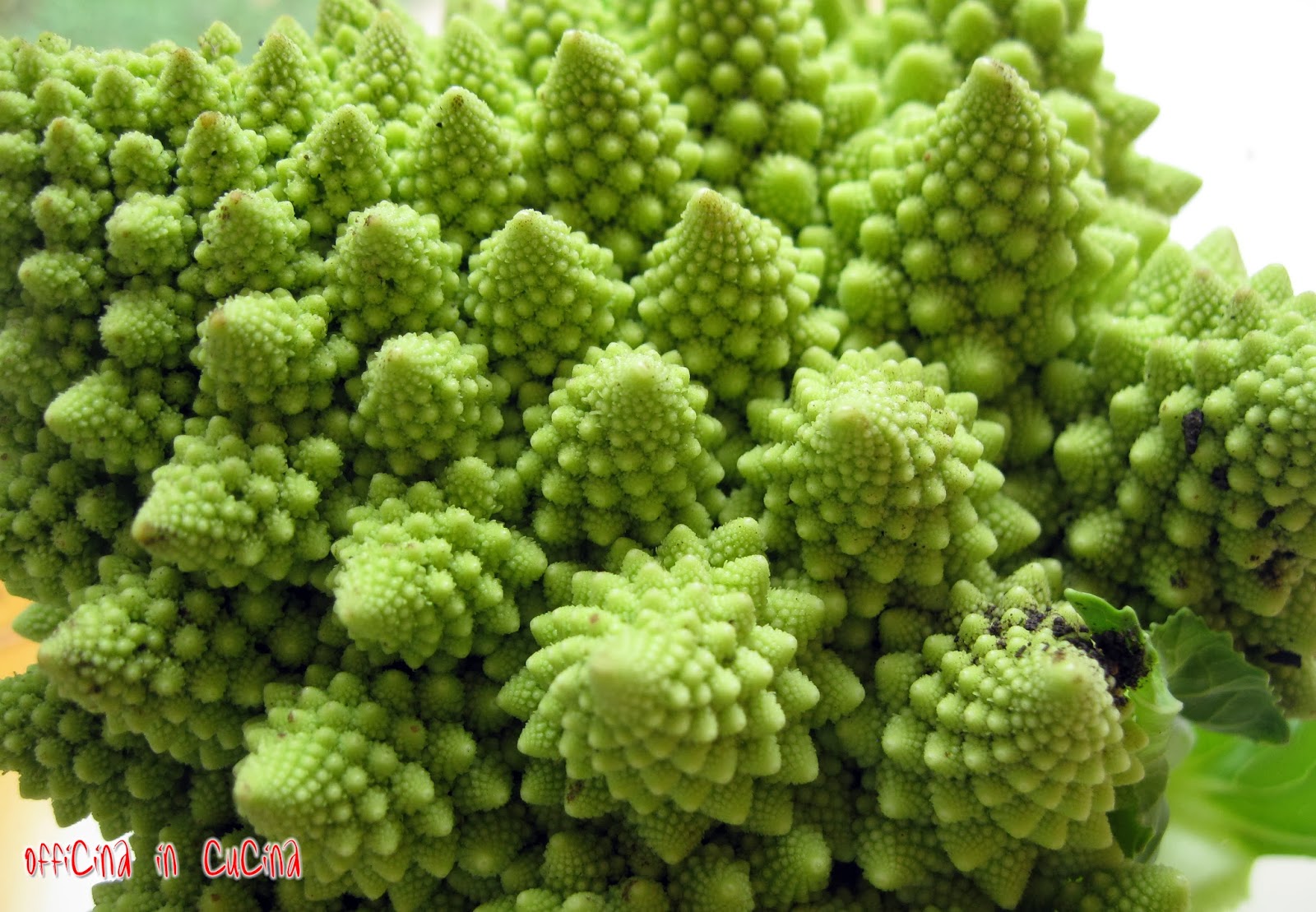 Cavolo Romanesco/Cavolfiore Romano a vapore - Bimby
