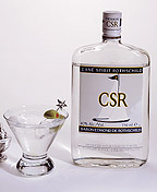 Changes in Latitude, Changes in Attitude: Rainforests, ATV's, Beaches ...