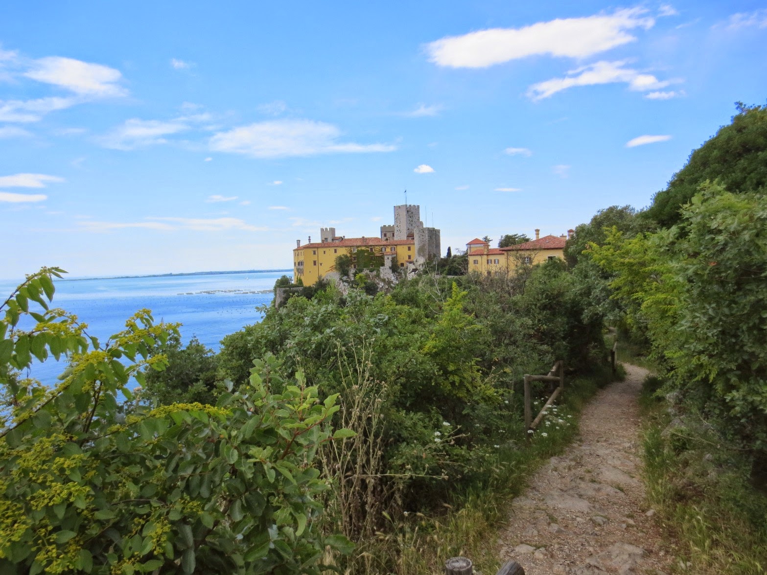 Menard & Jack Russell Terrier: junij 2014