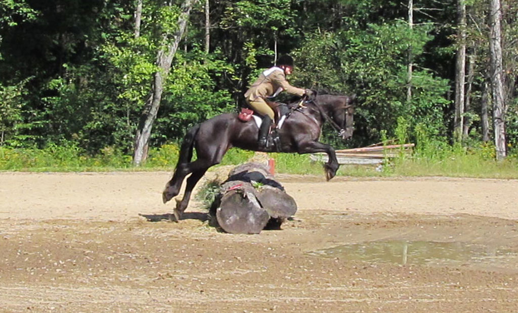 The Foxhunting Friesian: Wentworth Hunt Hunter Trials