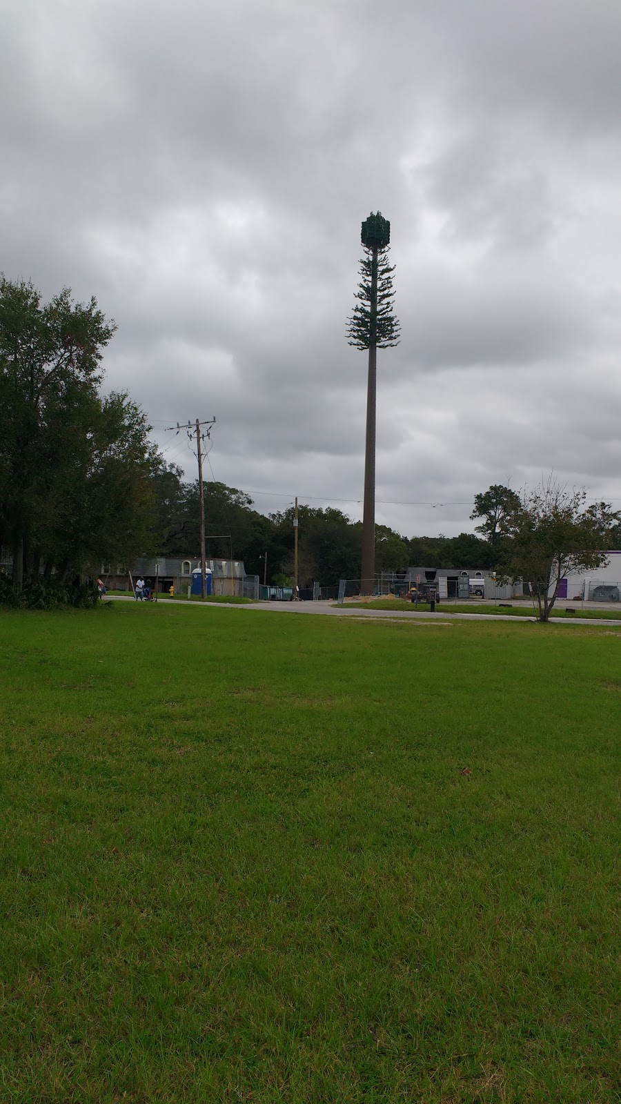 New Jax Witty: Cell Towers That Look Like Giant Trees Look Like Cell ...
