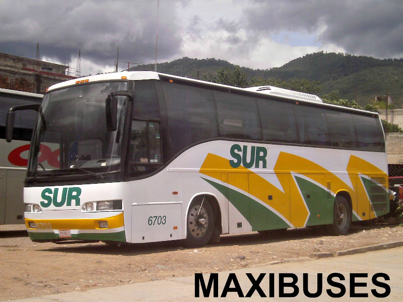 MAXIBUSES: AUTOBUSES DEL SUR