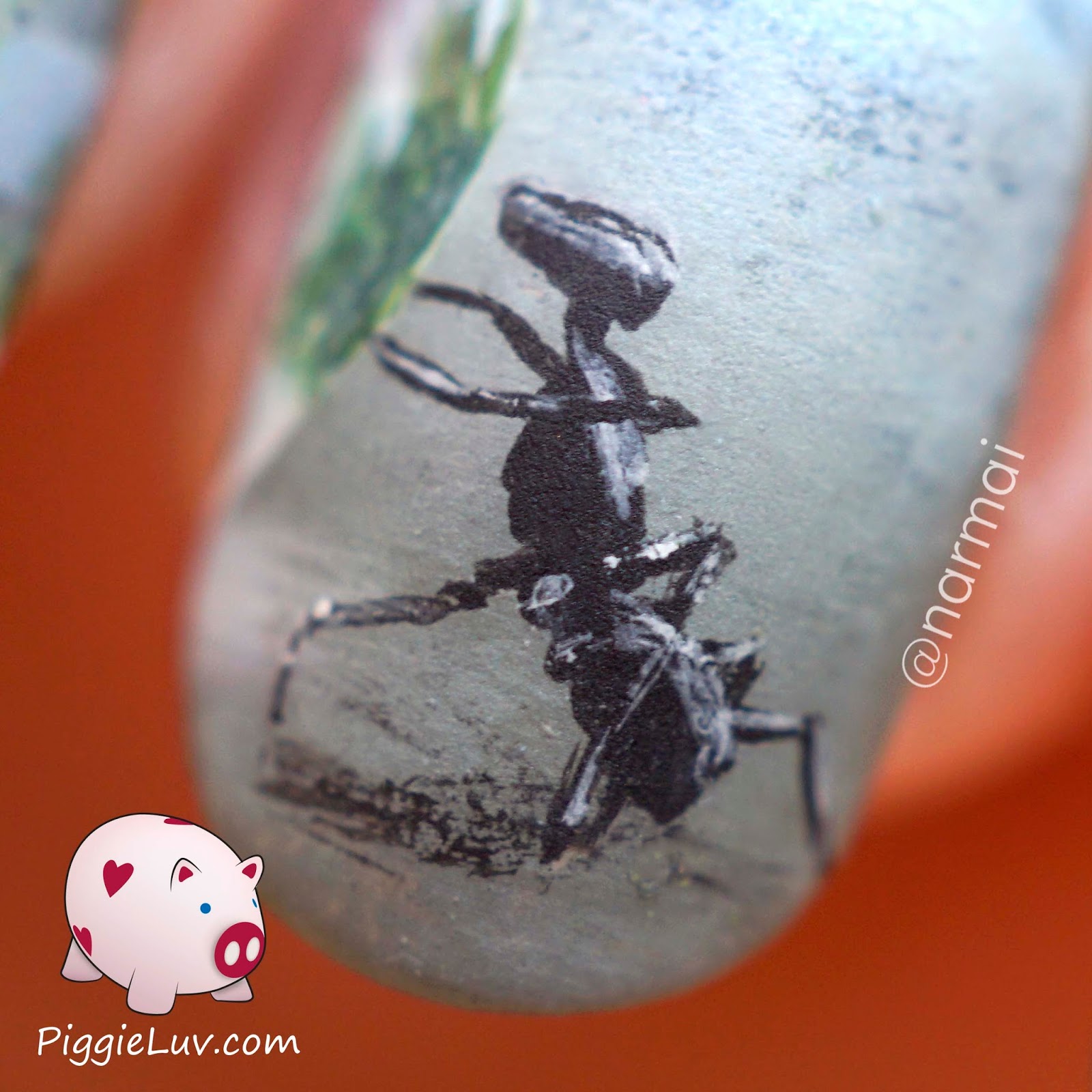 PiggieLuv: Freehand ant with water drop nail art