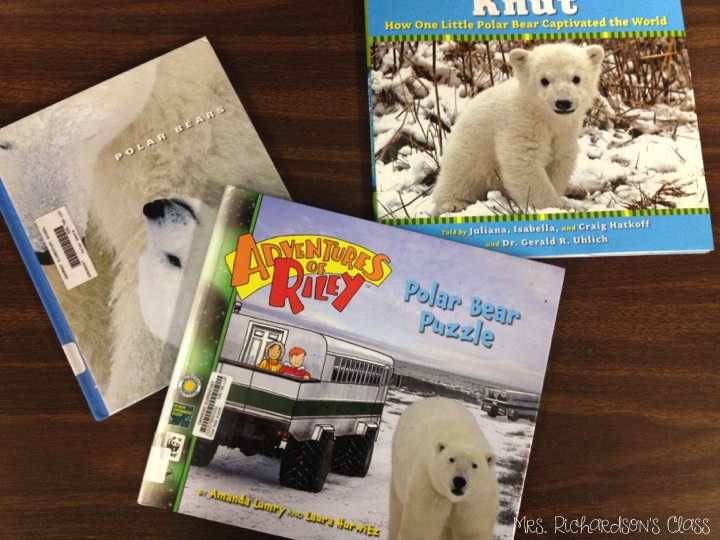 Primary Powers: Arctic Animal Fun, Freebie, and Flip Books!