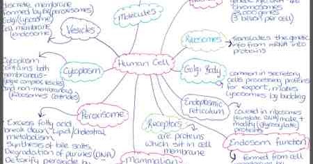 Science matters: Different modes of learning