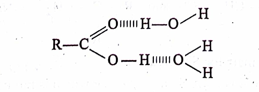 Welcome to Chem Zipper.com......: Lower aliphatic acids having 1 to 5 ...