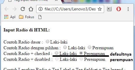 Membuat input Radio pada form HTML - Petunjuk Onlene