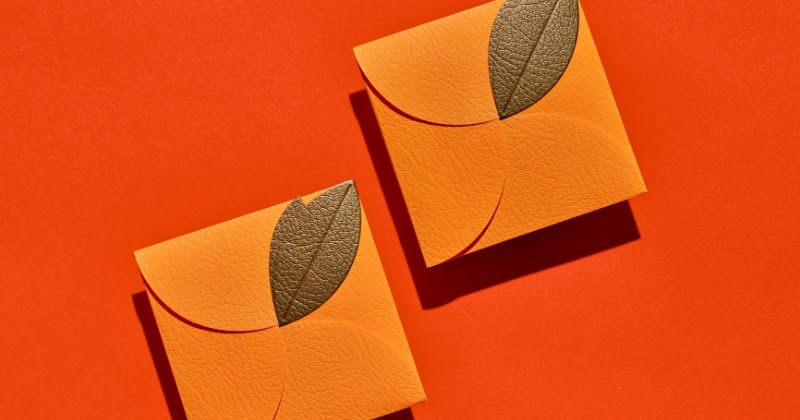 Lucky Packet on Packaging of the World - Creative Package Design Gallery