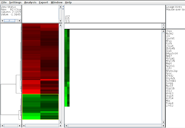 Diving into Genetics and Genomics: log2 fold gene expression change heatmap