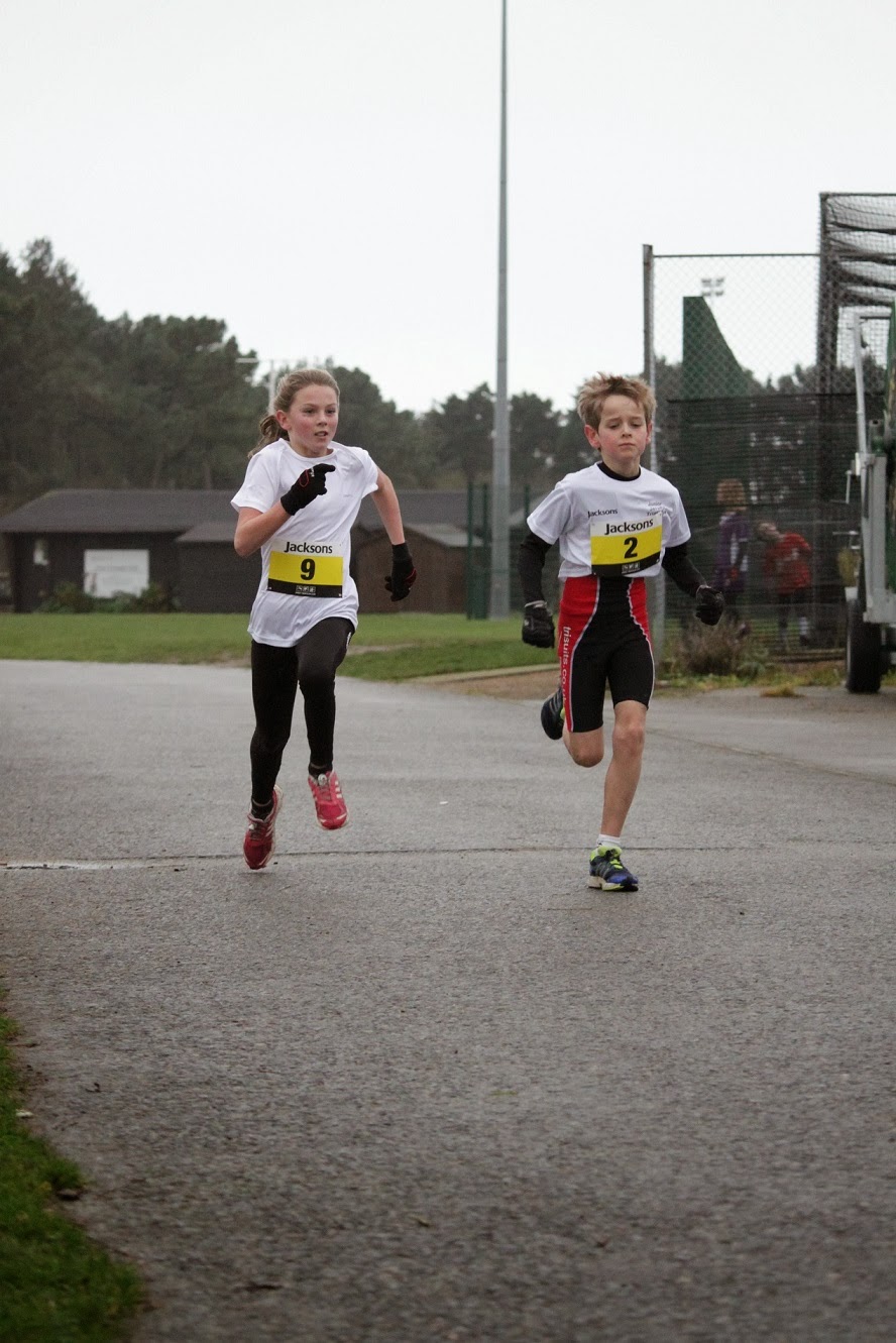 Jacksons Jersey and Guernsey: 2013