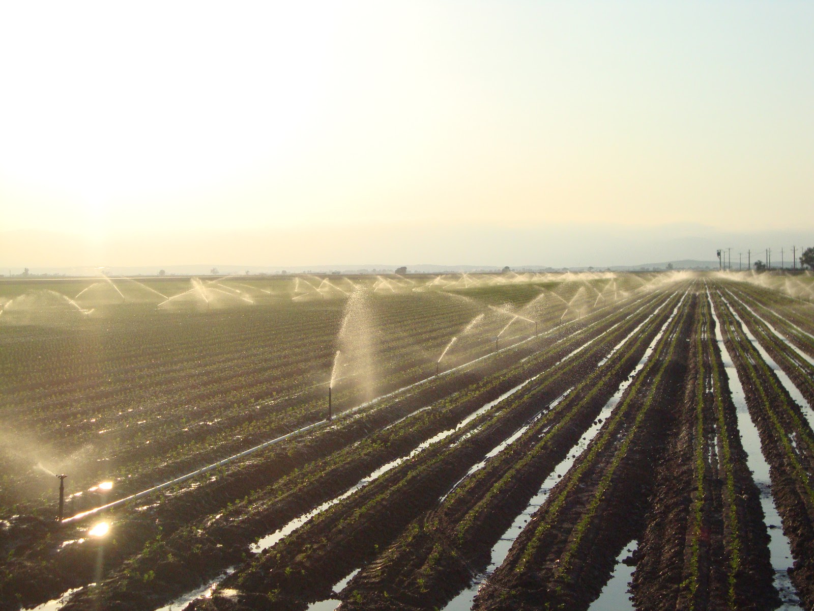 Free photos images fotos gratis