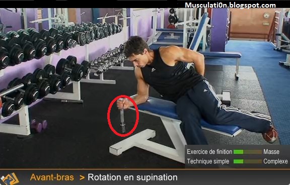 Musculati0n: ROTATIONS EN SUPINATION