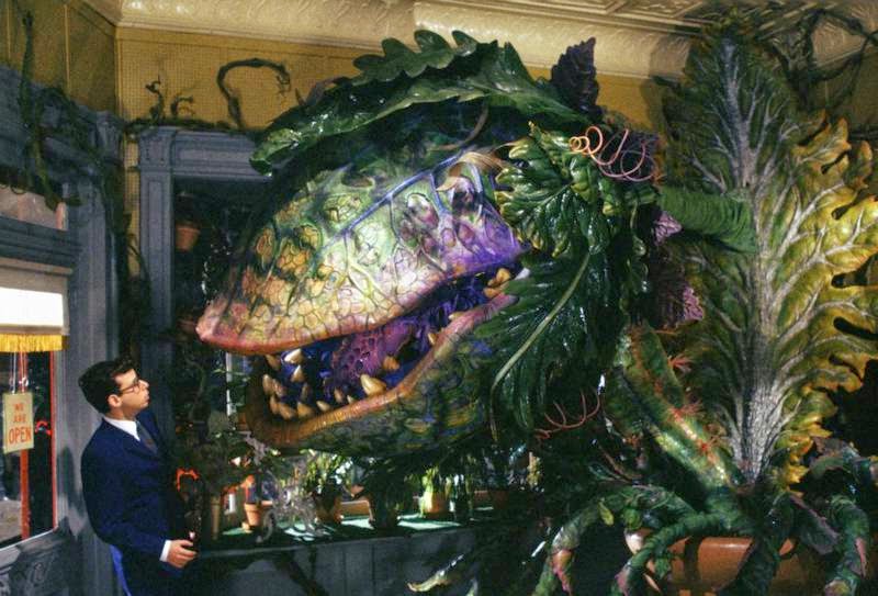 Jacobo Genesta Blog: 30 FOBIAS INCREIBLES DE CREER