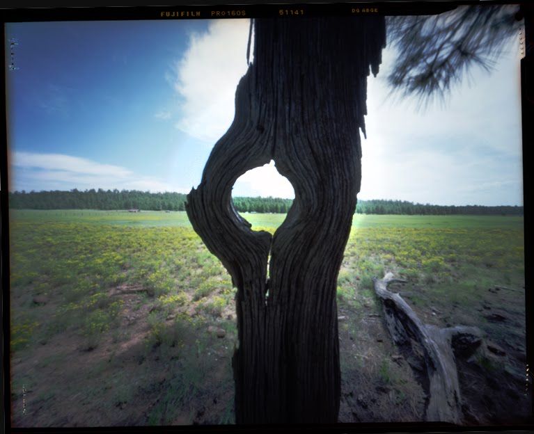 Livingston Photography: AZ Pinholes