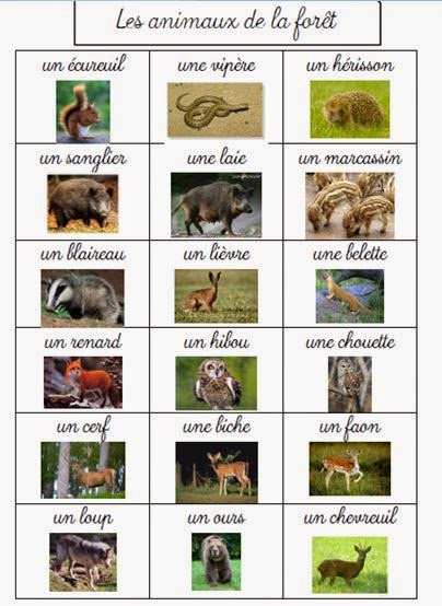 ISA FRENCH 2: Animaux de la forêt