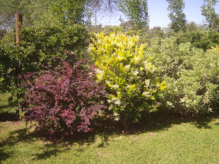 Diseñar canteros... - Las manos en la tierra