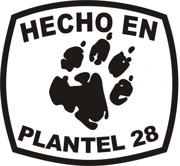 COBACH28': Colegio de Bachilleres plantel 28 San luis V (PANTERAS)