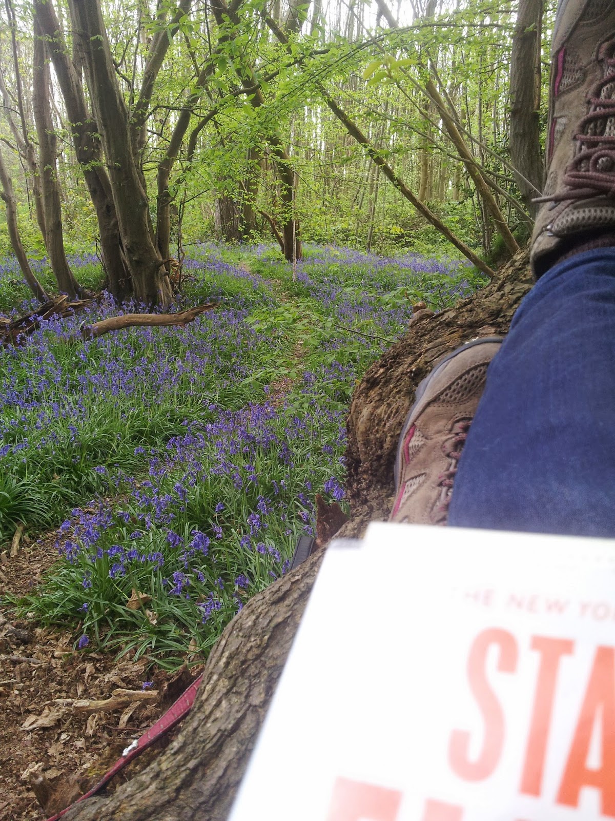 Around Britain Without A Plane 7 Fun Skills To Learn As You Travel around-britain-without-a-plane-7-fun-skills-to-learn-as-you-travel