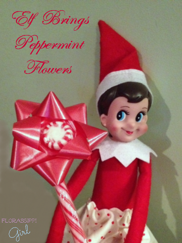 Florassippi Girl: Elf Brings Peppermint Flowers