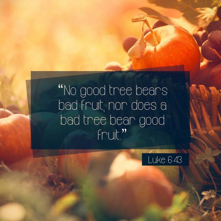 Growing Up In The Word : Bearing Christian Fruit