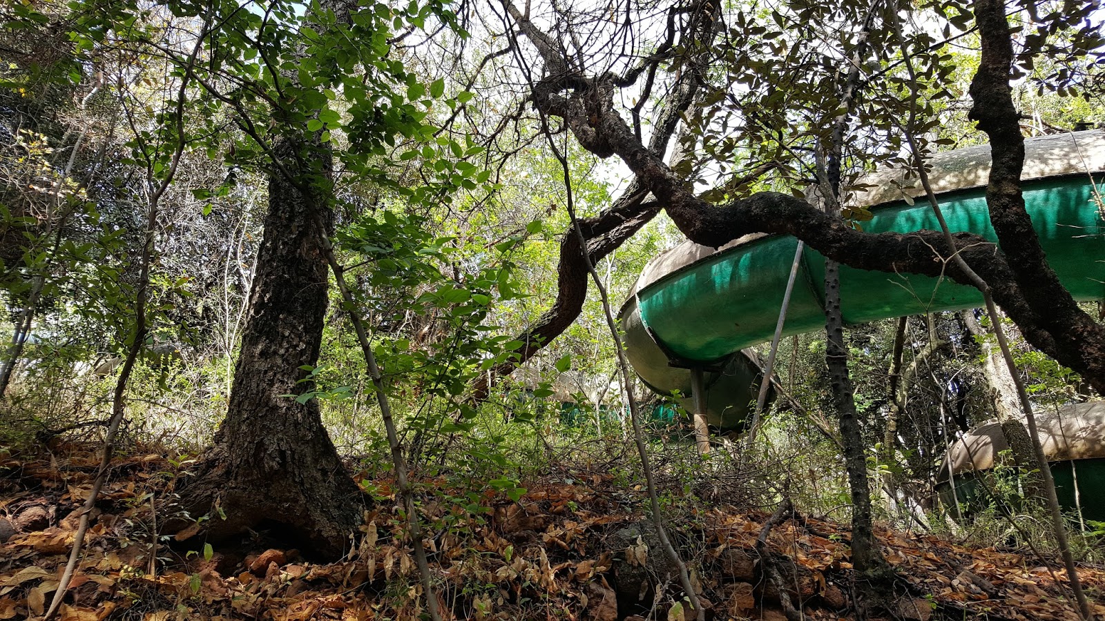 Ons Kamp Memories: 2017