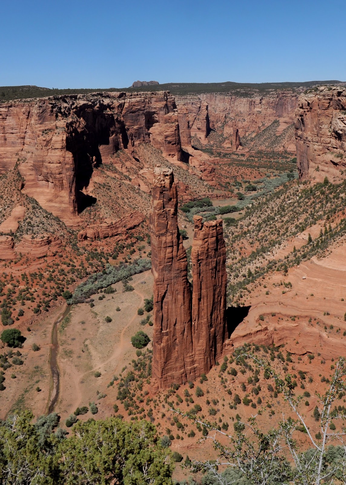 Mass CommuniMania: A Day of Relaxation and Fun